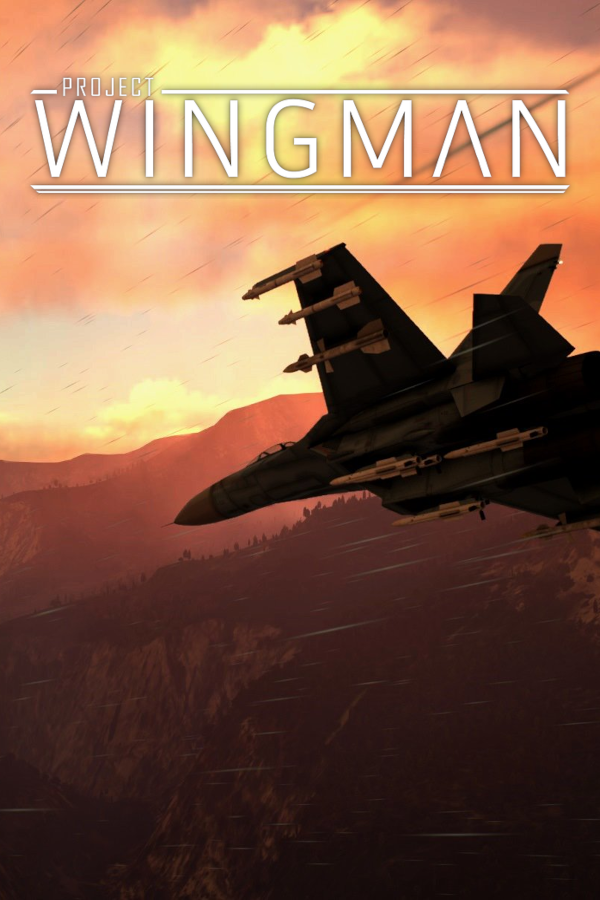 Project Wingman - SteamGridDB