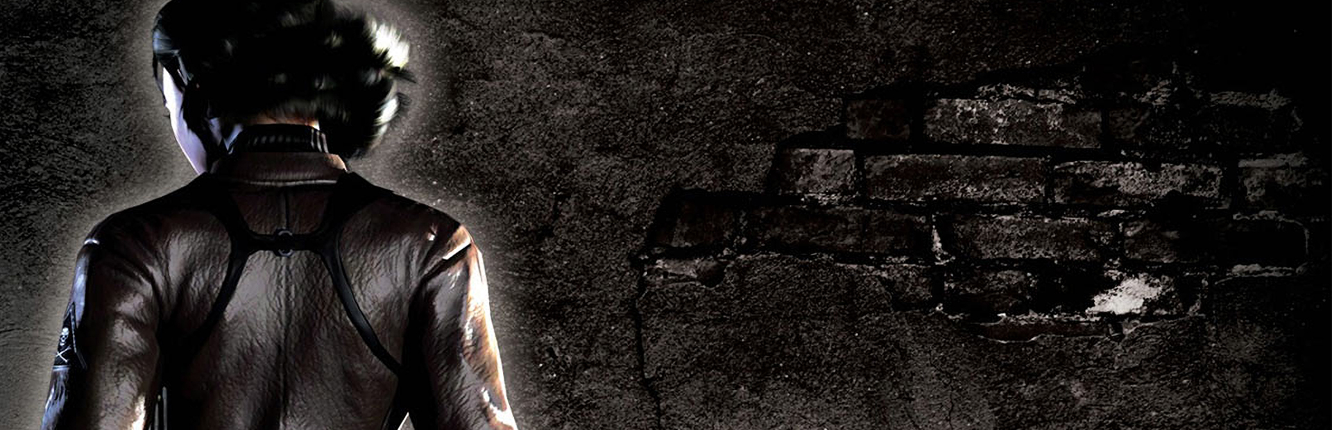 Velvet Assassin - SteamGridDB