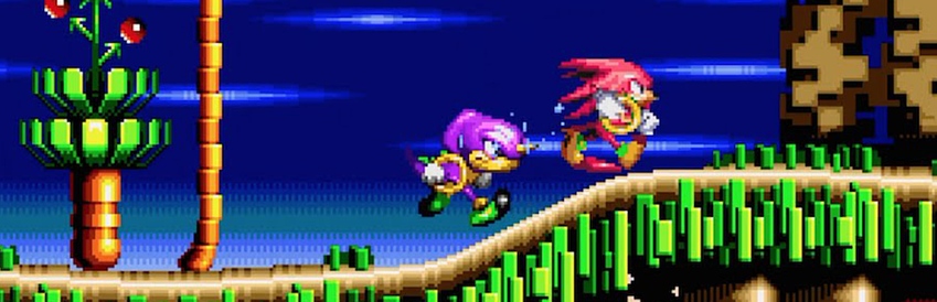 Hero for Knuckles' Chaotix by bosspatrone - SteamGridDB