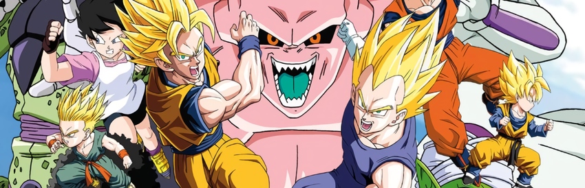 Hero for Dragon Ball Z: Infinite World by ALGAE - SteamGridDB