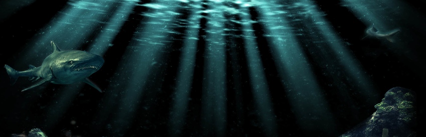 Hero for Depth Hunter 2: Deep Dive by miskuzmidaku - SteamGridDB