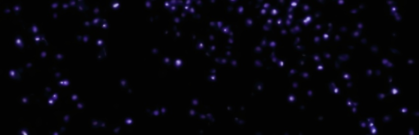 Hero for Icarus: Alien Vanguard by flamepanther - SteamGridDB