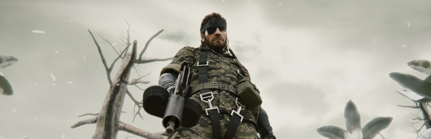 Hero for Metal Gear Solid 3: Snake Eater by C-Nima - SteamGridDB