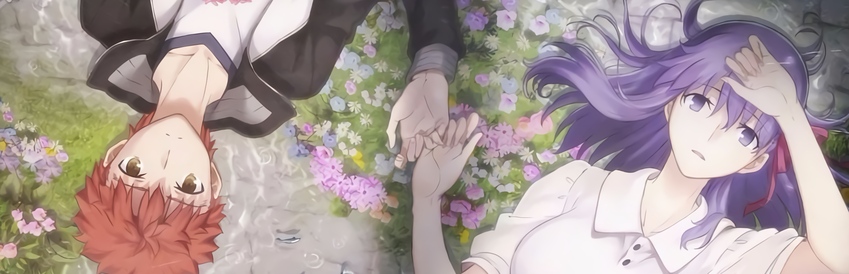 Hero for Fate/stay night by Julia - SteamGridDB