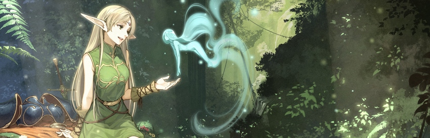 Hero for Record of Lodoss War-Deedlit in Wonder Labyrinth- by luchta ...