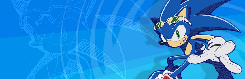 Hero for Sonic Riders by TheSecretDino - SteamGridDB