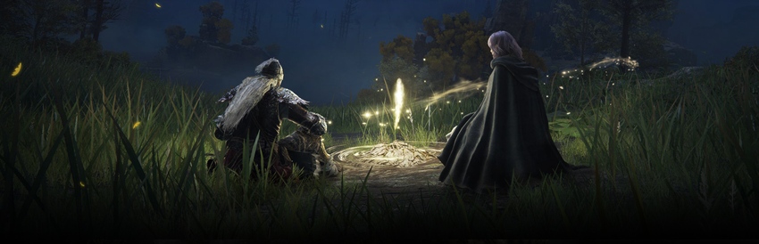 Hero for Elden Ring by FM54 - SteamGridDB