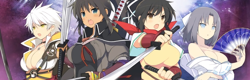 Hero for SENRAN KAGURA SHINOVI VERSUS by ShaDoW15 - SteamGridDB