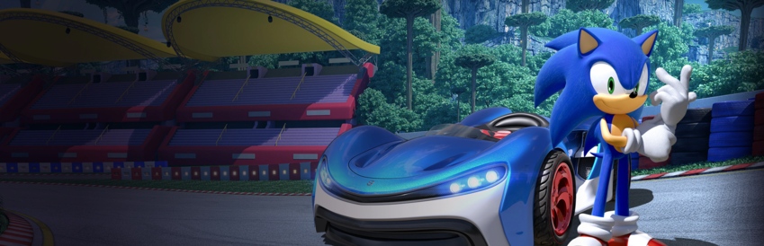 Hero for Team Sonic Racing™ by NightSkye - SteamGridDB