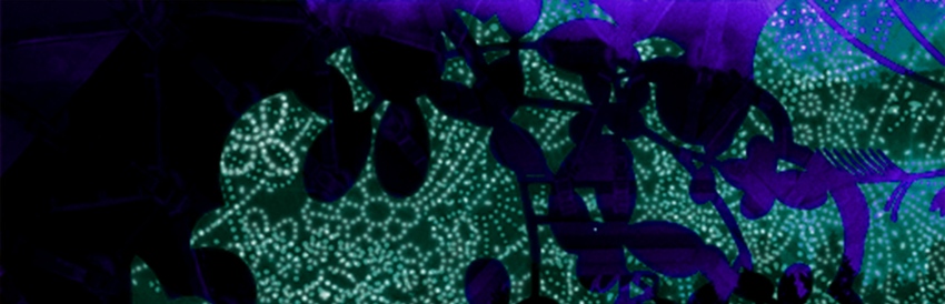 Subterranean Animism Wallpaper