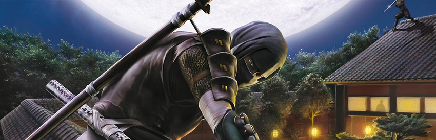 Hero for Tenchu Z by Ikea - SteamGridDB