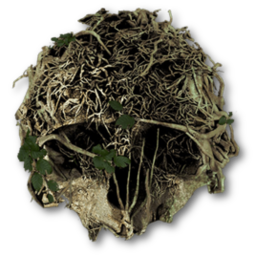 Icon for The Forest by Sonkaine2 - SteamGridDB