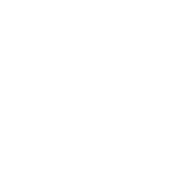 Icon for Wallpaper Engine by CrAzYpEnGuIn - SteamGridDB