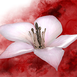 Icon for Drakengard 3 by Lulou - SteamGridDB