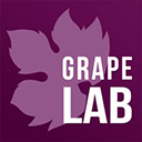 Icon for Hundred Days: Grape Lab by HTheorigin4l - SteamGridDB