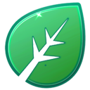 Icon for Pokémon LeafGreen Version by LudaX - SteamGridDB