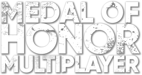 Medal Of Honor Warfighter Logo Png
