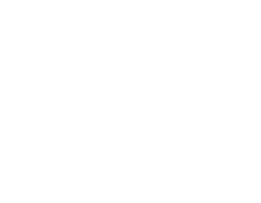 Street Fighter Vs Symbol