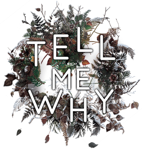 Logo for Tell Me Why by The Duality System - SteamGridDB