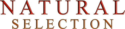 Logo for Natural Selection by YellowJello - SteamGridDB