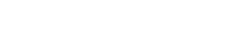Logo for Disney Speedstorm by SeeDborg - SteamGridDB