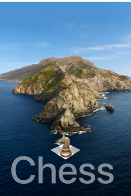 Grid for Chess (macOS) by RobotDaniel - SteamGridDB