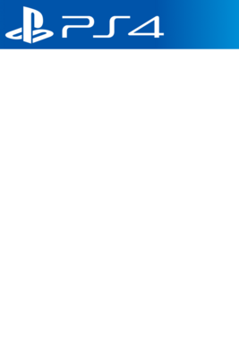Playstation 4 Game Case Blank