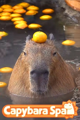 Capybara Spa - SteamGridDB