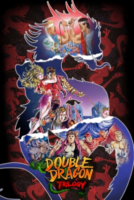 Double Dragon Trilogy - SteamGridDB