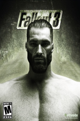 Grid for Fallout 3 by Ah™ - SteamGridDB