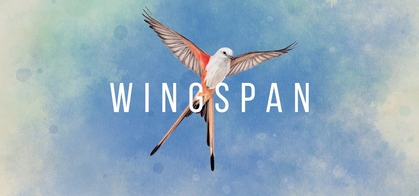 Wingspan - SteamGridDB
