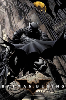 Grid for Batman Begins by Raylix777 - SteamGridDB