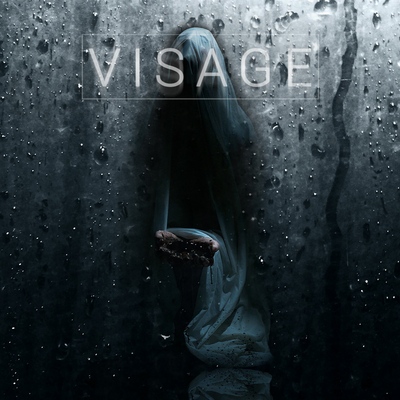 Grid for Visage by SeeDborg - SteamGridDB