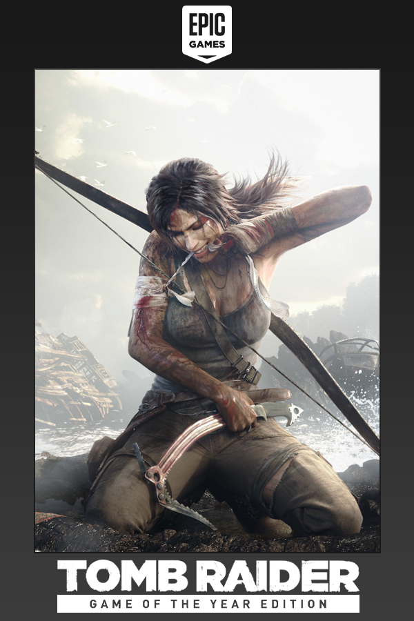 Epic Games - SteamGridDB