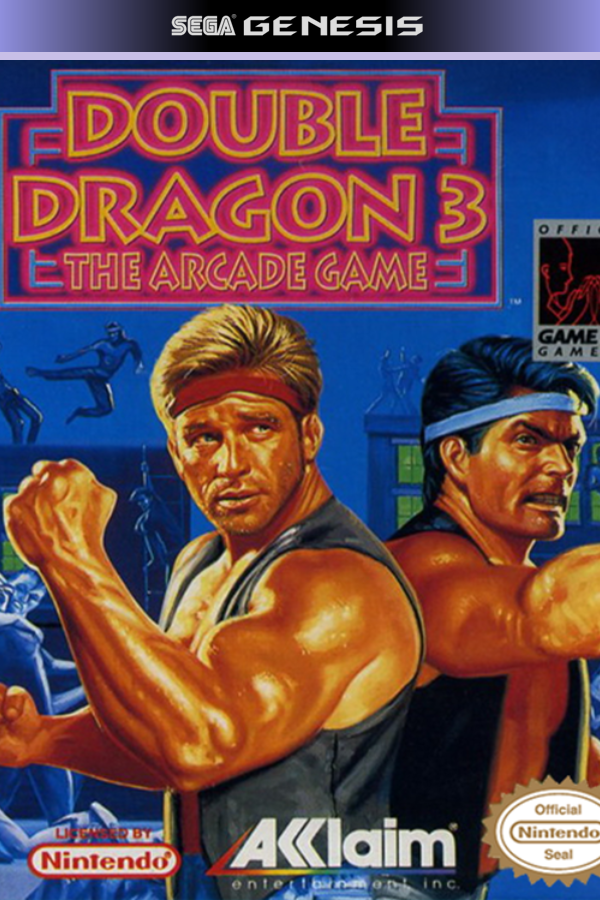 Double Dragon 3: The Arcade Game - SteamGridDB
