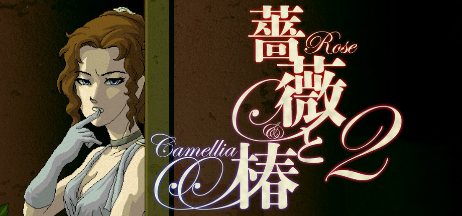 Flash Project Contributions - SteamGridDB