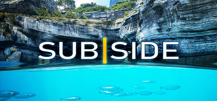Subside - SteamGridDB
