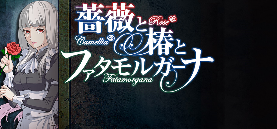 Flash Project Contributions - SteamGridDB