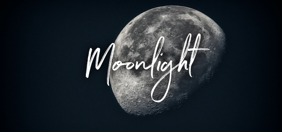 Grid for Moonlight by littleCERBERUS - SteamGridDB