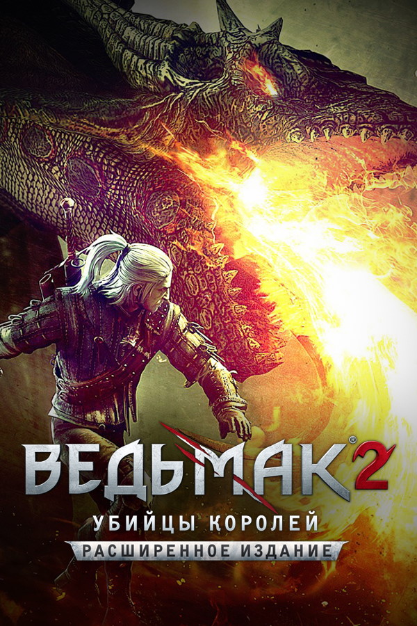 Grid for The Witcher 2: Assassins of Kings Enhanced Edition by SlavaR ...