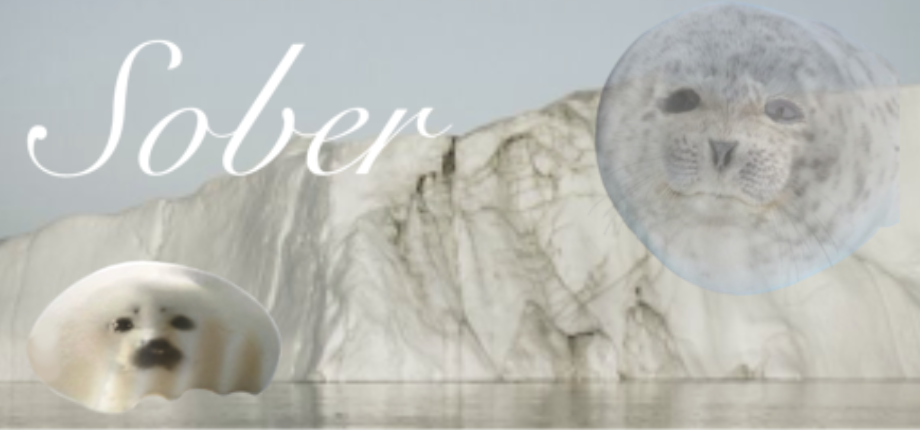 Sober (Program) - SteamGridDB