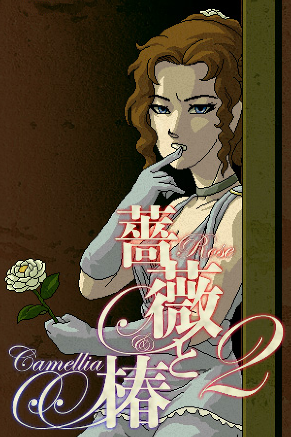 Flash Project Contributions - SteamGridDB