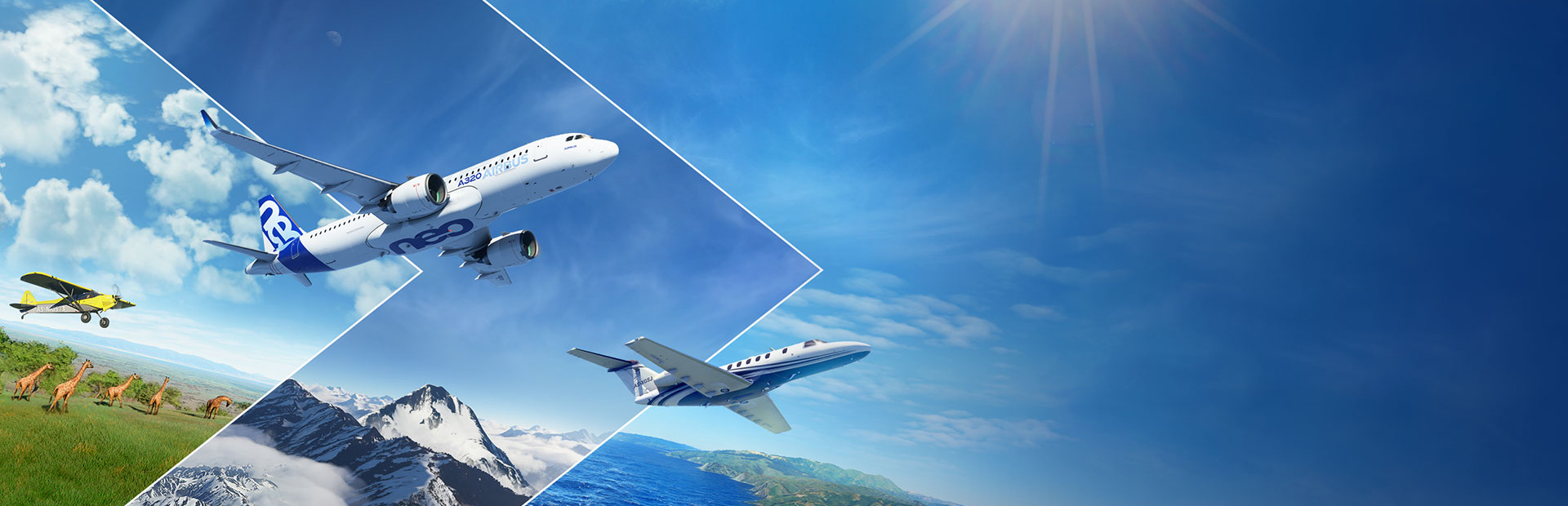 Hero for Microsoft Flight Simulator by knifeyspoony - SteamGridDB