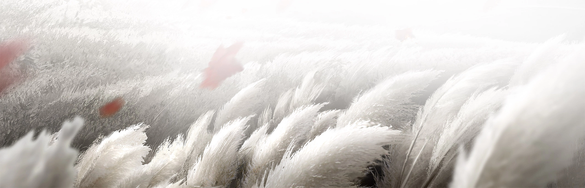 aetherium. - SteamGridDB