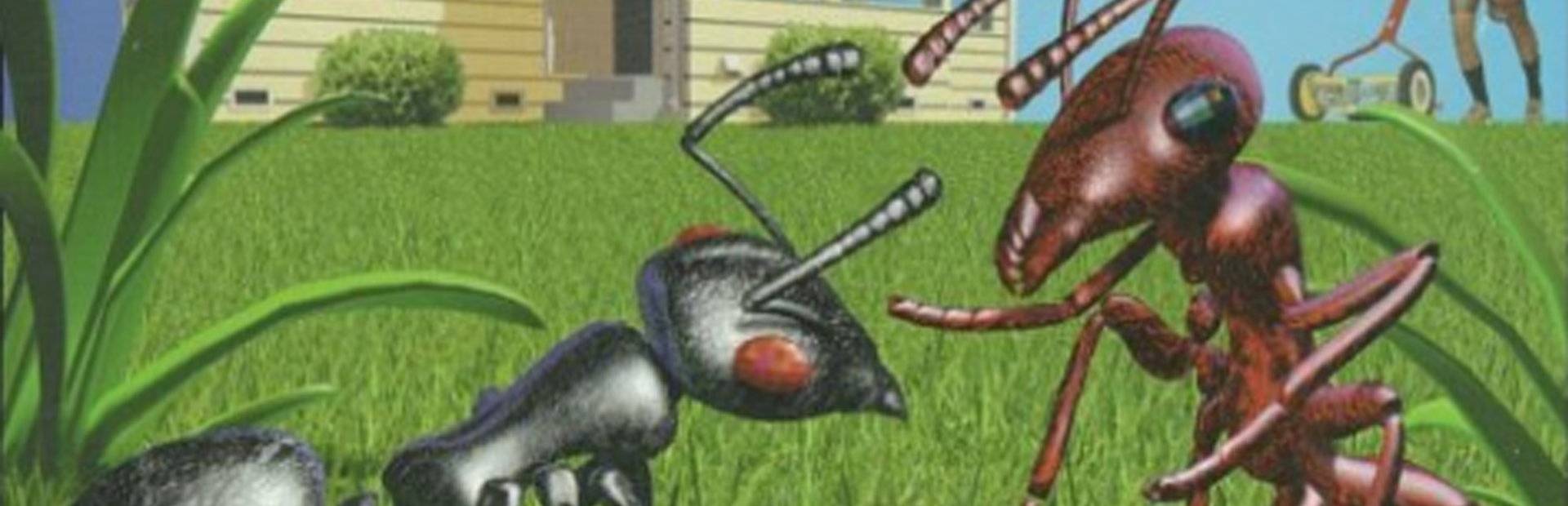 Hero for SimAnt: The Electronic Ant Colony by jdevin - SteamGridDB