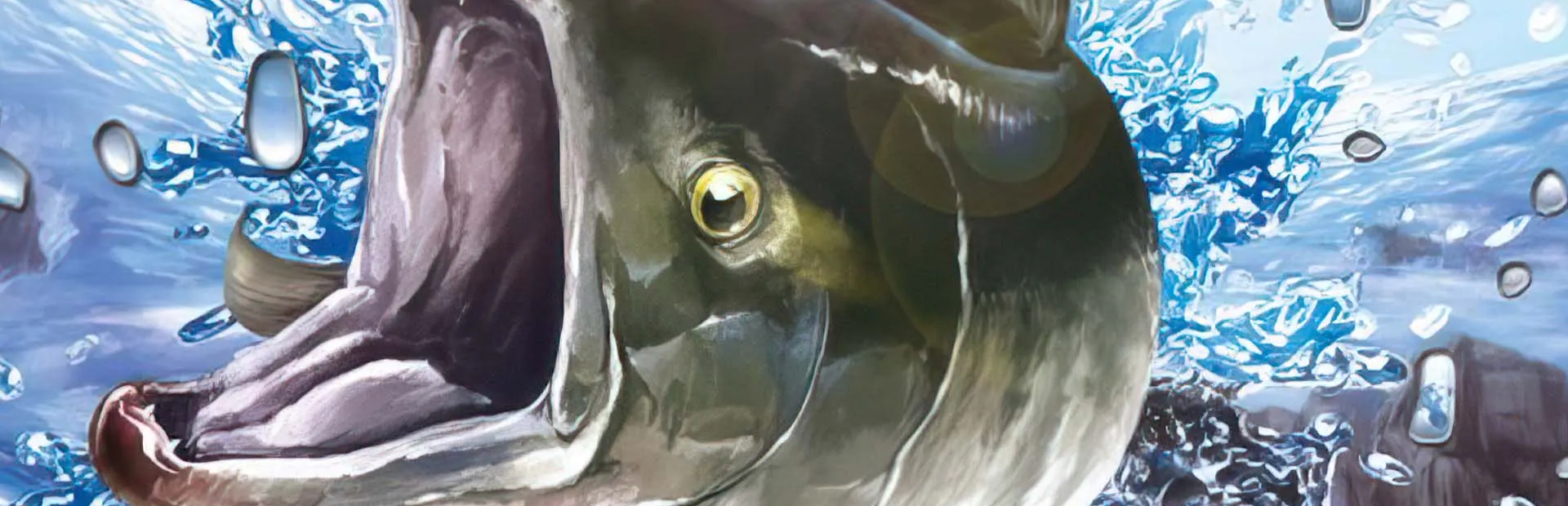 Reel Fishing Paradise 3D - SteamGridDB