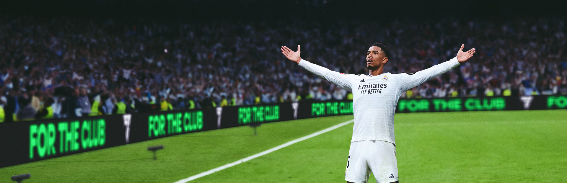 EA Sports FC 25 - SteamGridDB