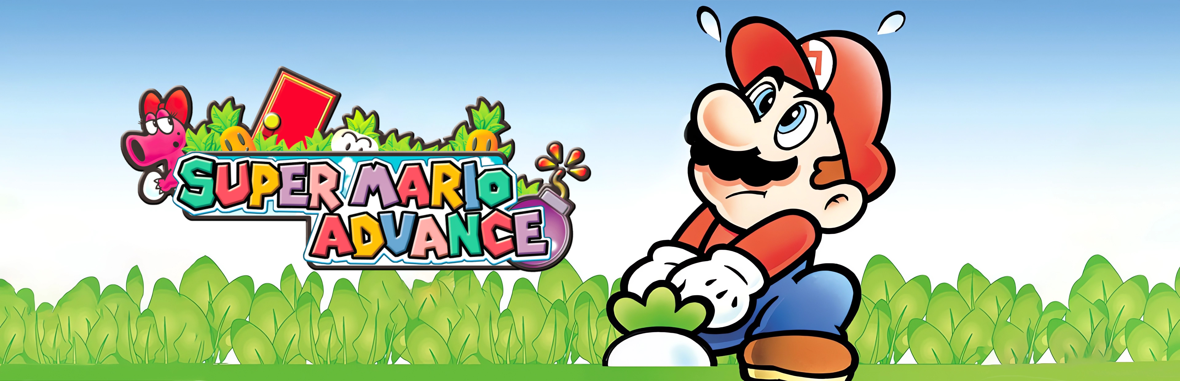 Hero for Super Mario Advance by ZazaMastro - SteamGridDB
