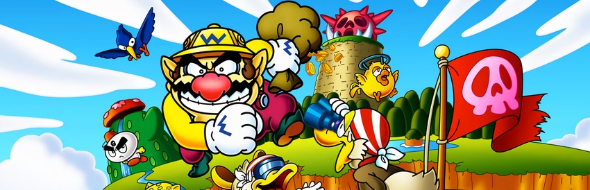 Hero for Wario Land: Super Mario Land 3 by ALGAE - SteamGridDB
