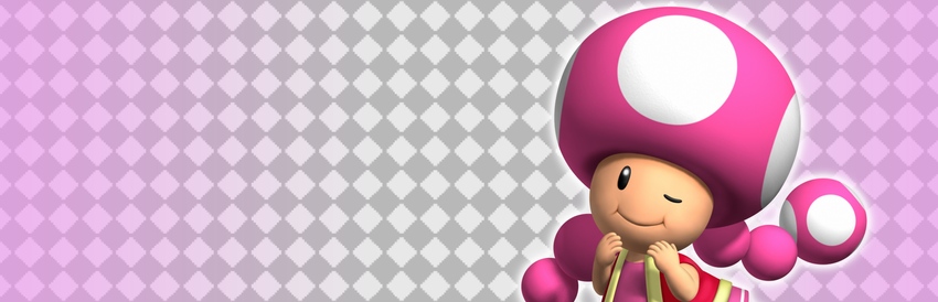 Hero for Toadette Strikes (Toad Strikes Back 2) by FloweyGaming577 ...